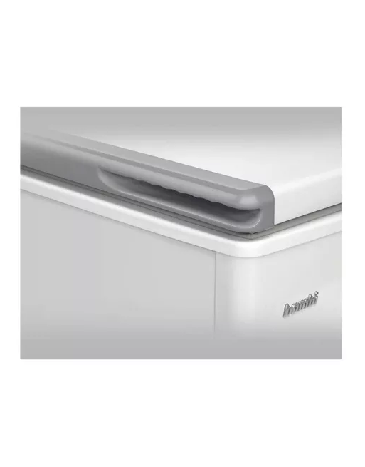 Freezer Bambi FH3300BPA 290lts